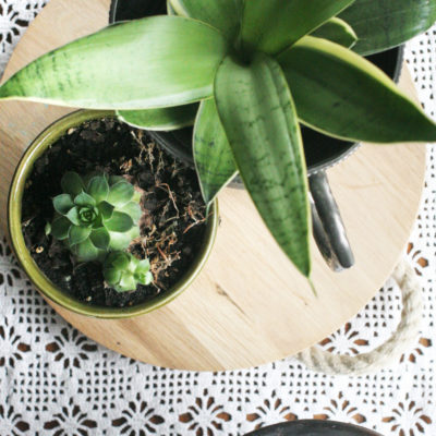 Craftivity Designs - Creating a Home