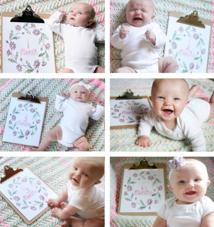 6 Months – Craftivity Designs