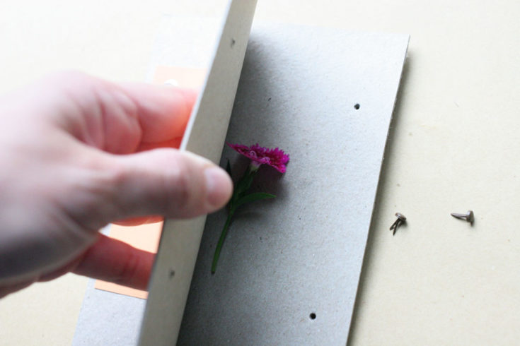 How to Make a Simple DIY Flower Press – Craftivity Designs