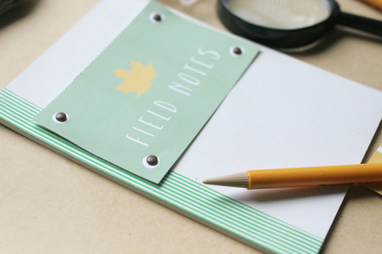 How to Plan a Nature Adventure for your Kids – Craftivity Designs