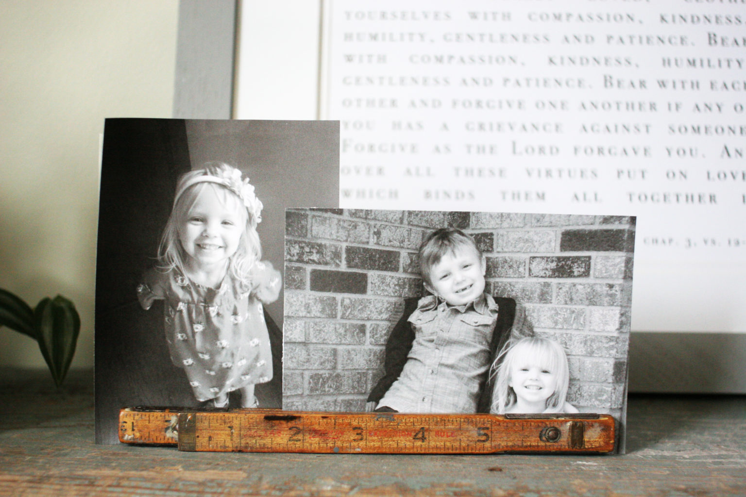 40+ Amazingly Creative Photo Display Ideas that You'll Love ...