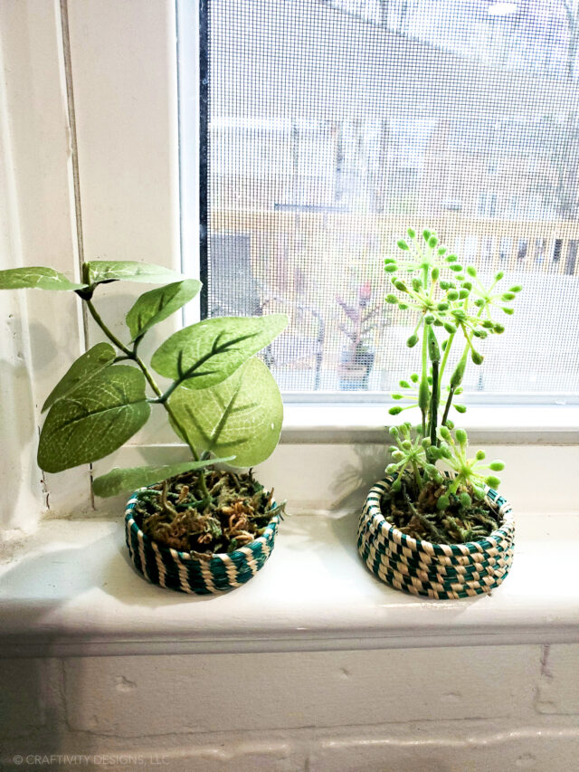 How to Make DIY Dollhouse Plants – Craftivity Designs