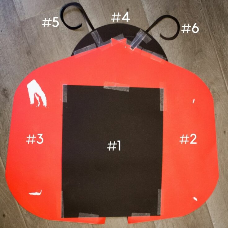 Pin the Spot on the Ladybug: Easy DIY Game Tutorial! (with Mask ...